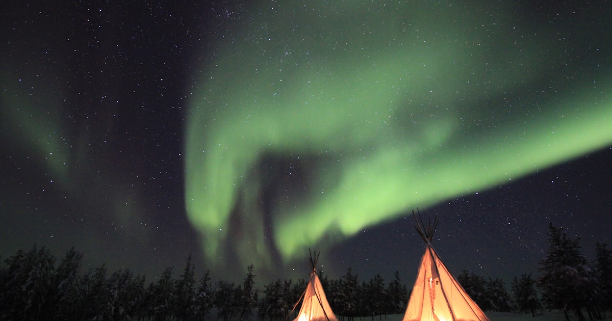 Dog Sledding in Canada 2026: Best Places, Costs and Booking Tips ...