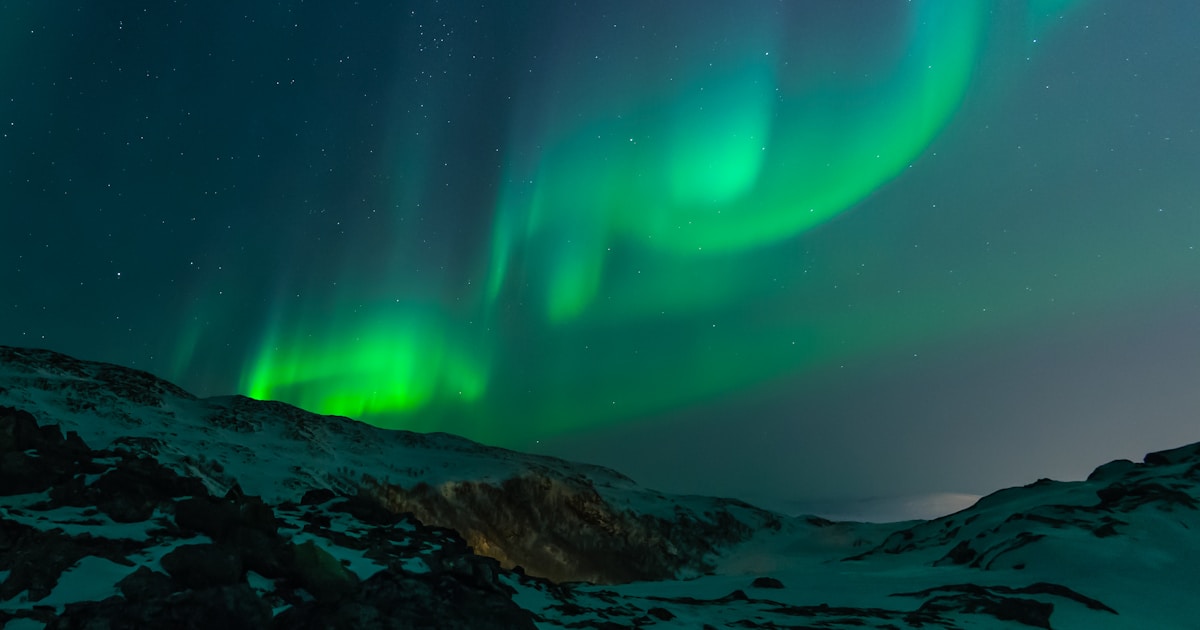 Husky Sledding in Norway 2026: Tromso, Alta, Svalbard and Costs ...